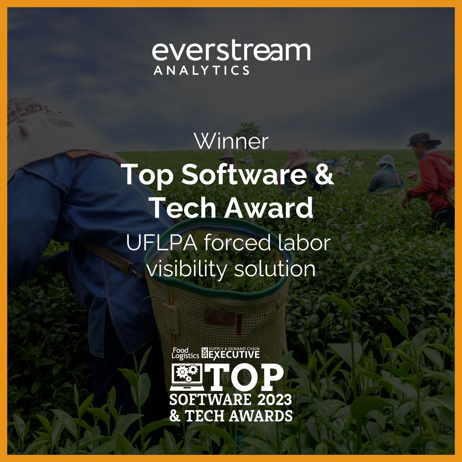 Everstream Solutions