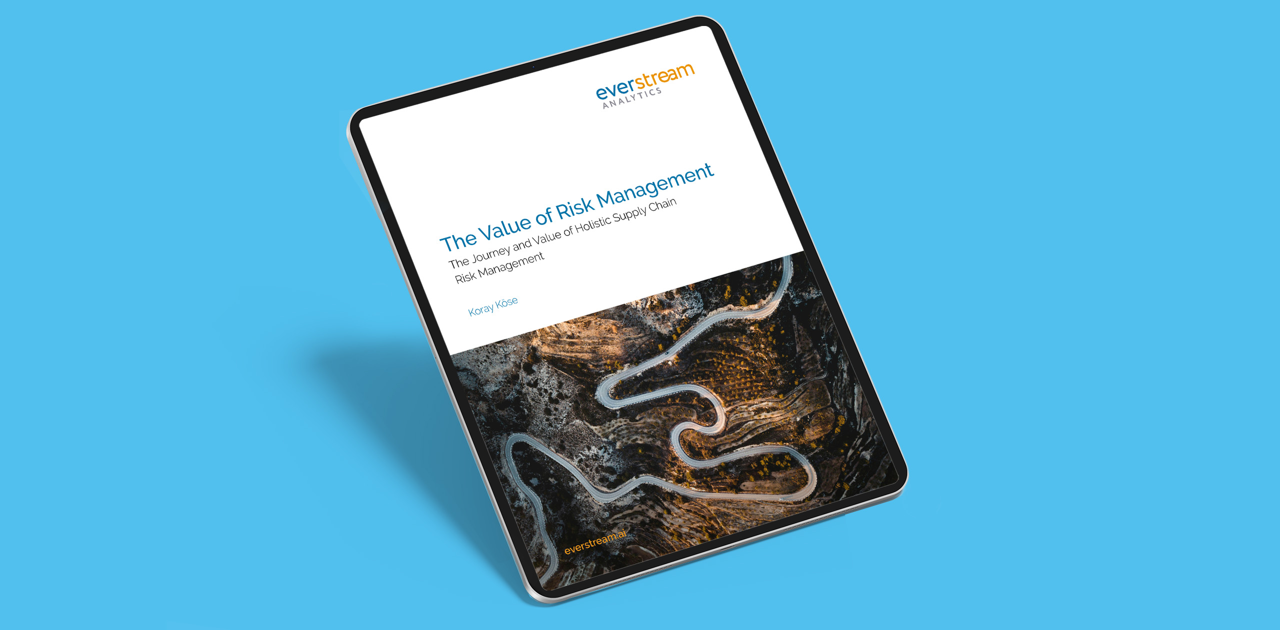 Special Reports - Everstream Analytics