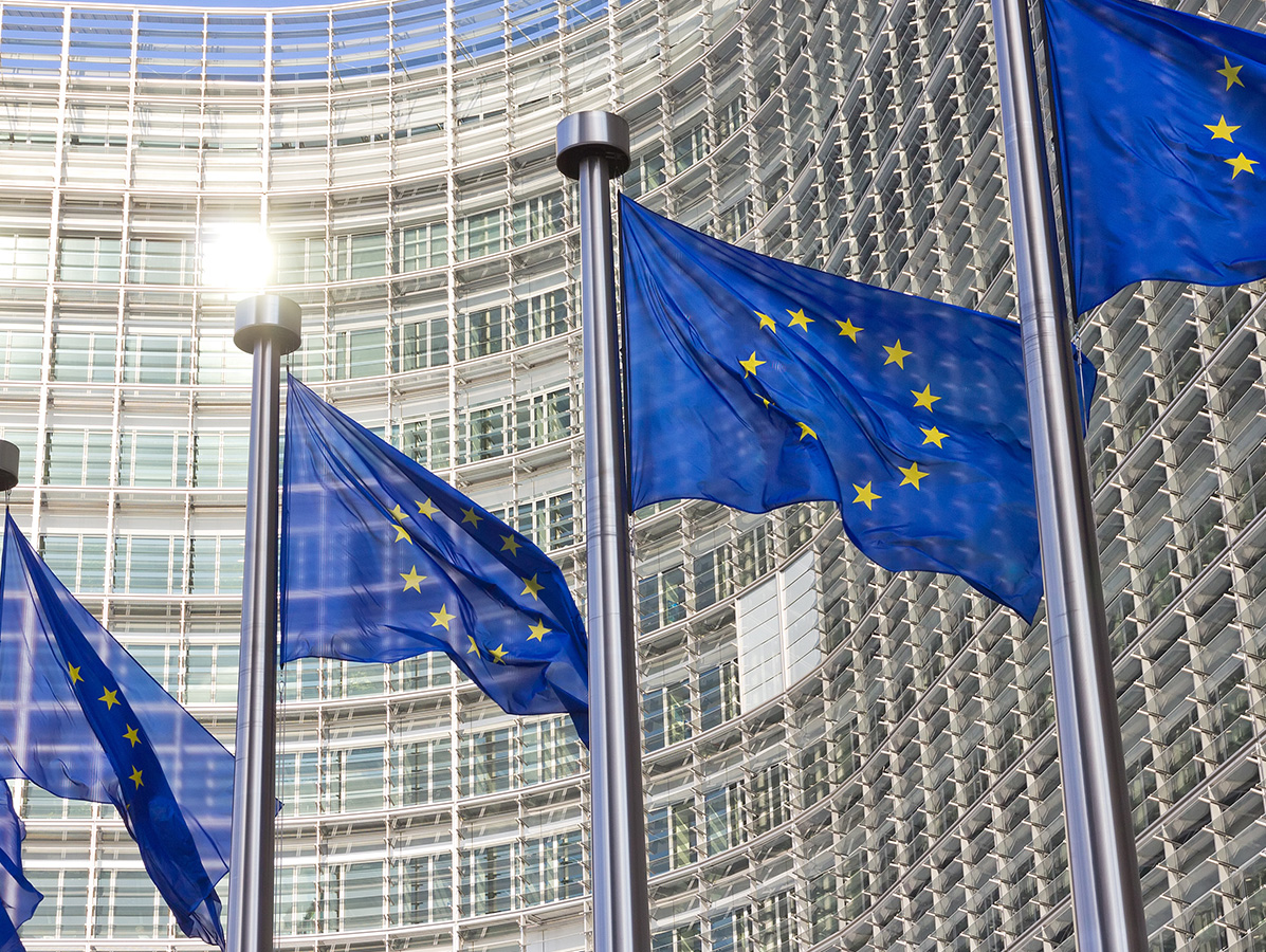 Latest Updates to CSDDD Scope - Everstream Analytics