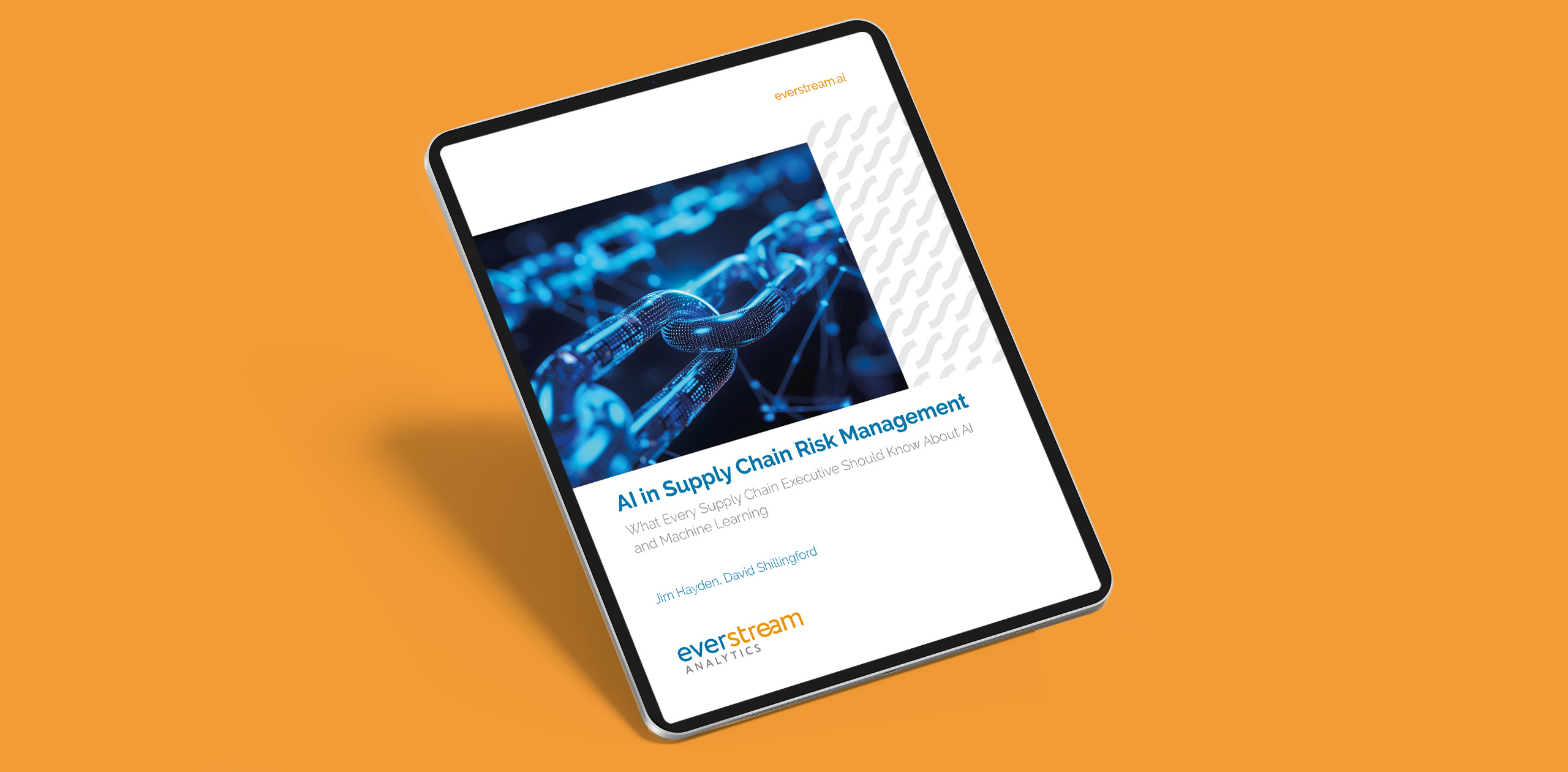 Special Reports - Everstream Analytics