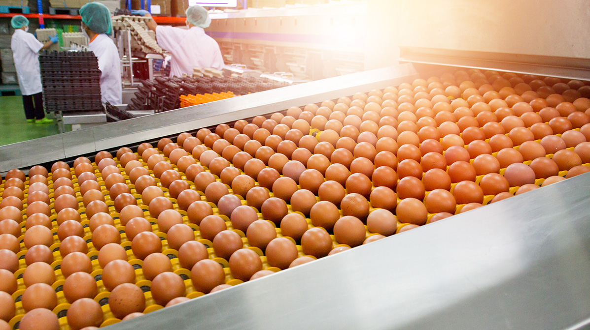 Avian flu affects U.S. food and beverage industries - Everstream Analytics